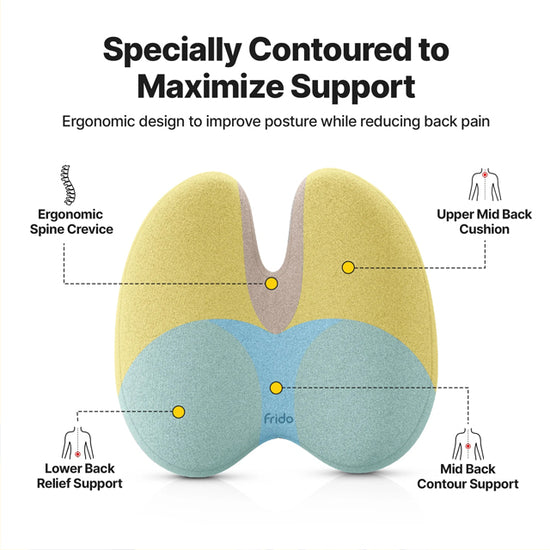 Frido Ultimate Pro Posture Corrector – The Health Store